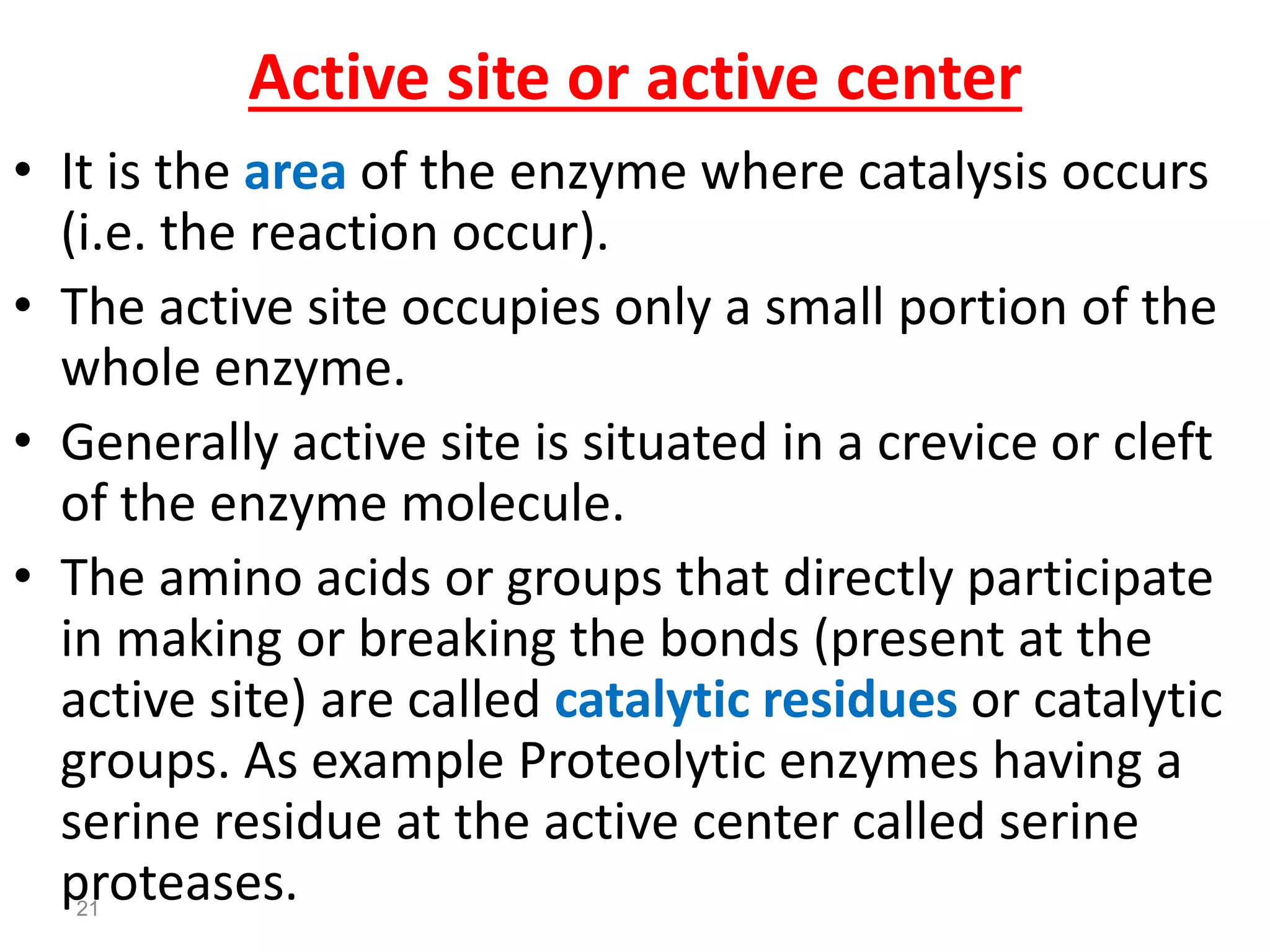 Lec 4 level 3-de (enzymes, coenzymes, cofactors) | PDF
