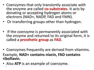 Lec 4 level 3-de (enzymes, coenzymes, cofactors) | PDF