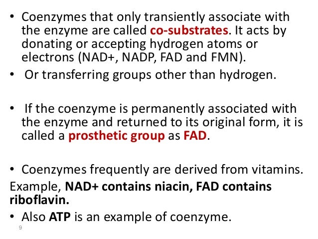 Lec 4 level 3-de (enzymes, coenzymes, cofactors)
