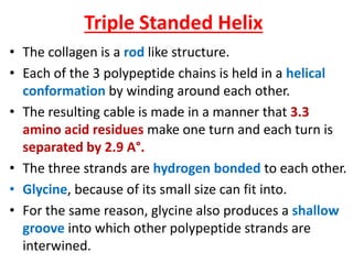 Lec 4 level 4-de (connective tissue) | PDF