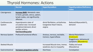 Lec 4 - Thyroid and anti thyroid drugs.pptx