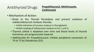 Lec 4 - Thyroid and anti thyroid drugs.pptx | Thyroid Disorders ...