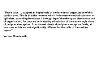 COGS 107B - Winter 2010 - Lecture 4 - The visual system I | PPT