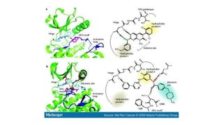 DRUG TARGET CHEMICAL INTERACTION RECEPTORS | PDF