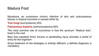 Fungal infections | PPTX