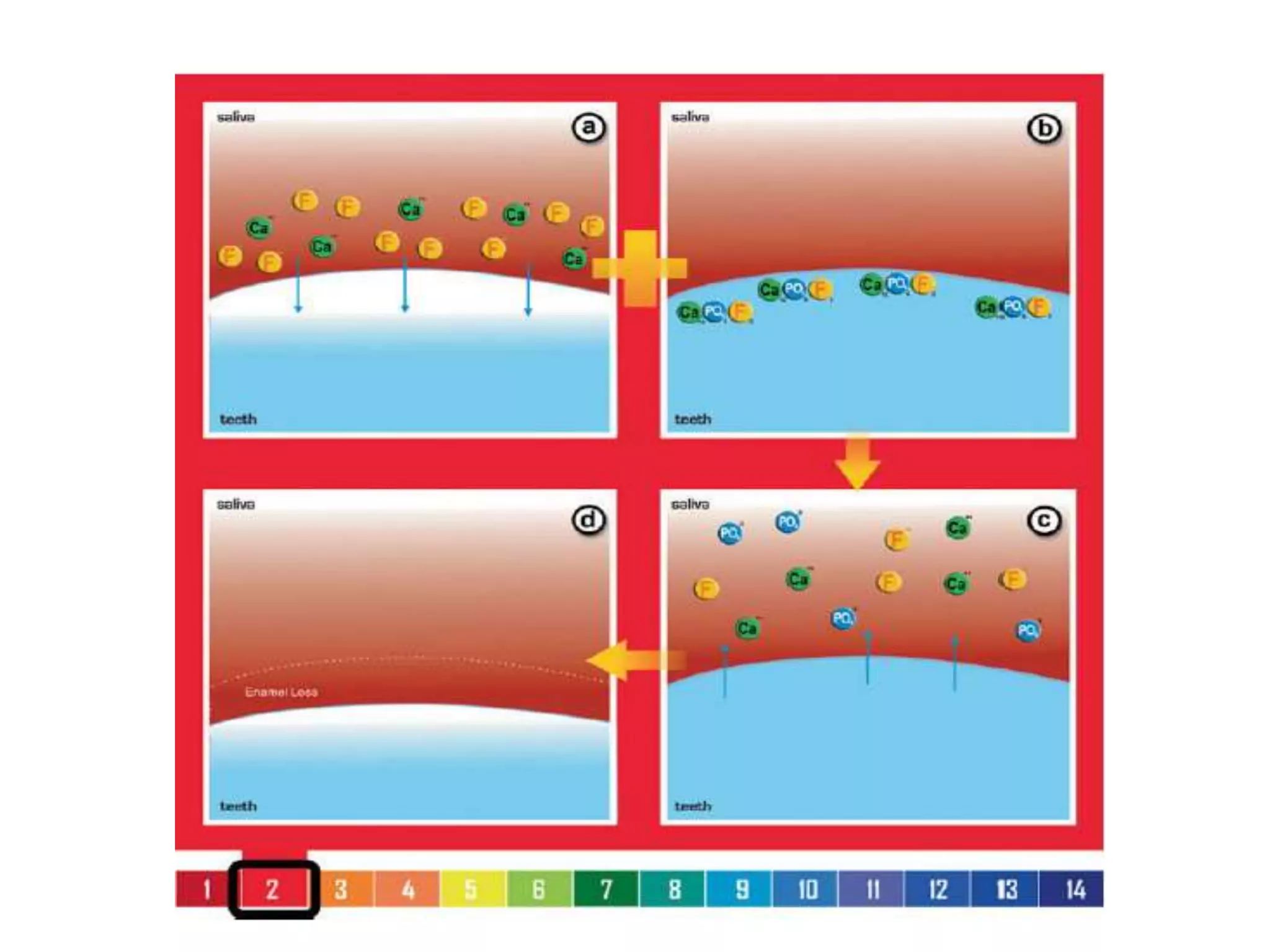 lec 4 +5 +6 +7 prevention 2022 2023.pptx new.pptx