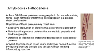 Amyloidosis | PPTX