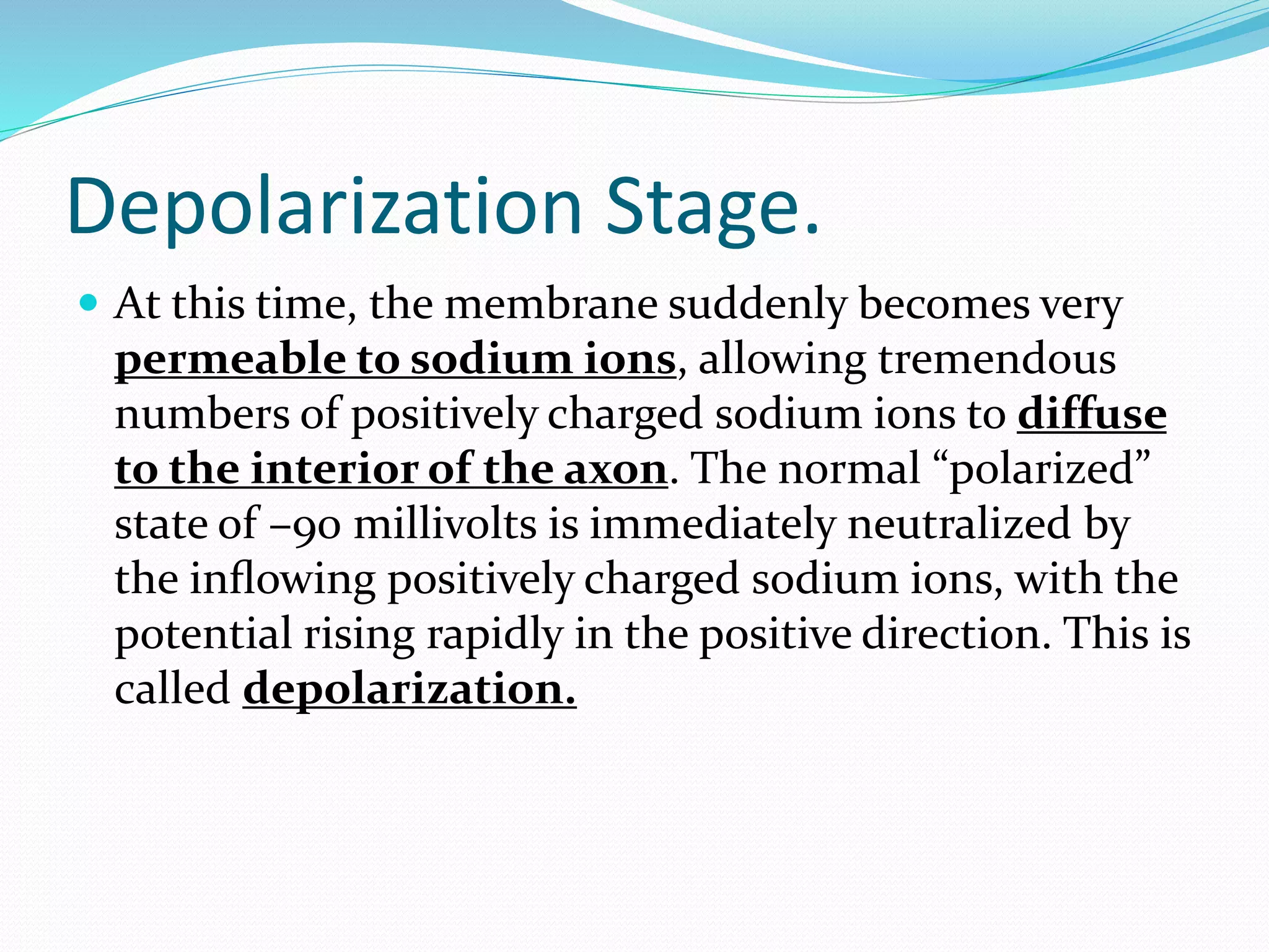 ACTION POTENTIAL | PPTX
