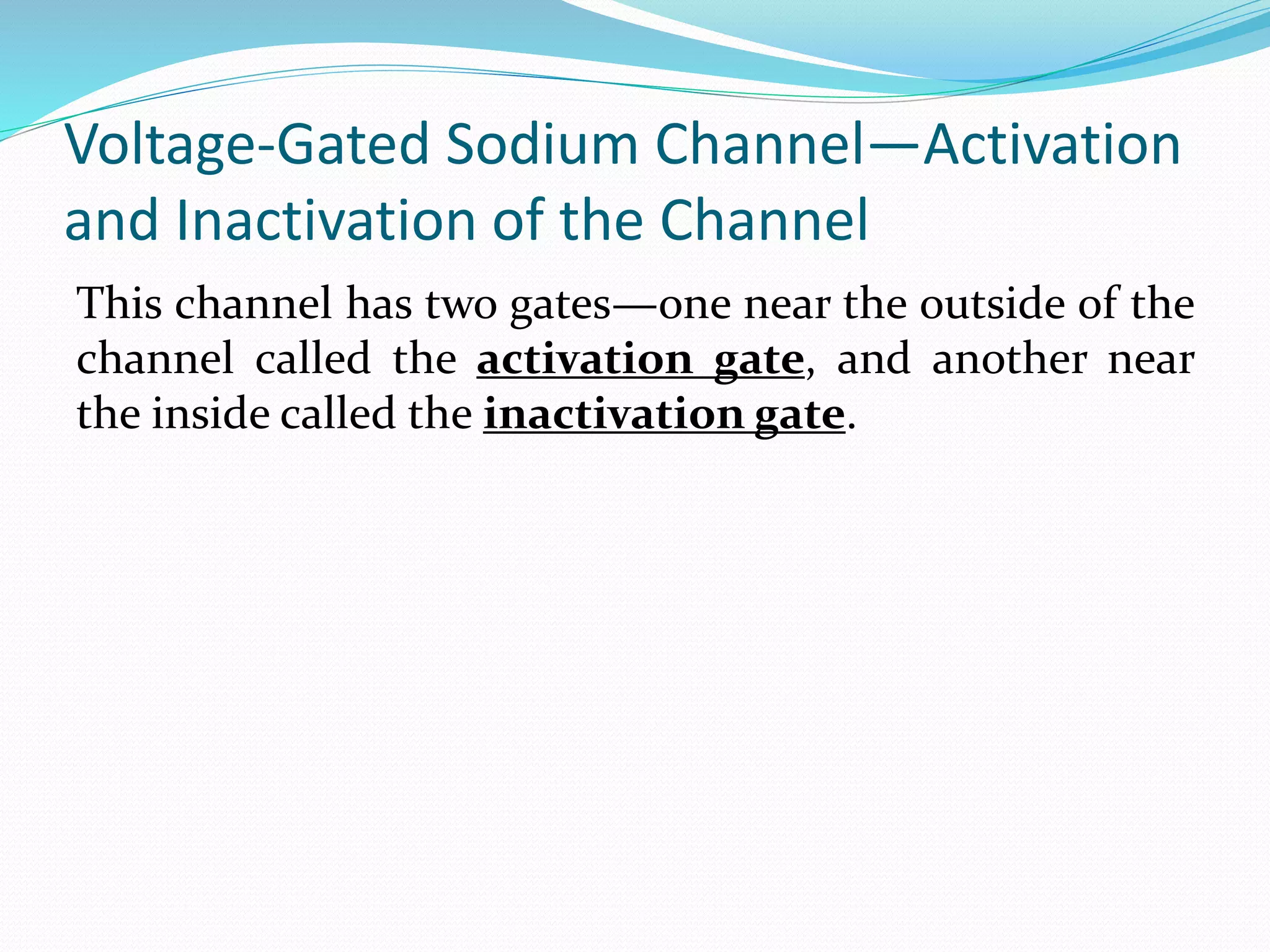 ACTION POTENTIAL | PPTX