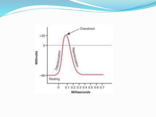 ACTION POTENTIAL | PPTX