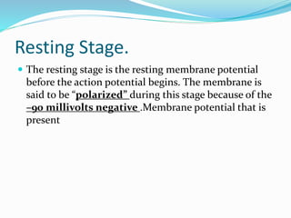 ACTION POTENTIAL | PPTX