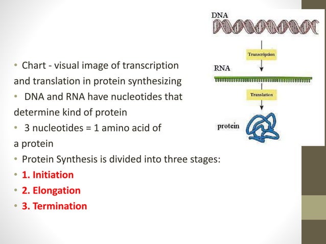 lec 4 bio اشعة.pptx