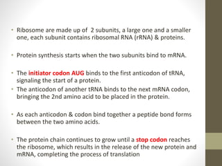 lec 4 bio اشعة.pptx