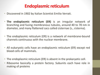 lec 4 bio اشعة.pptx