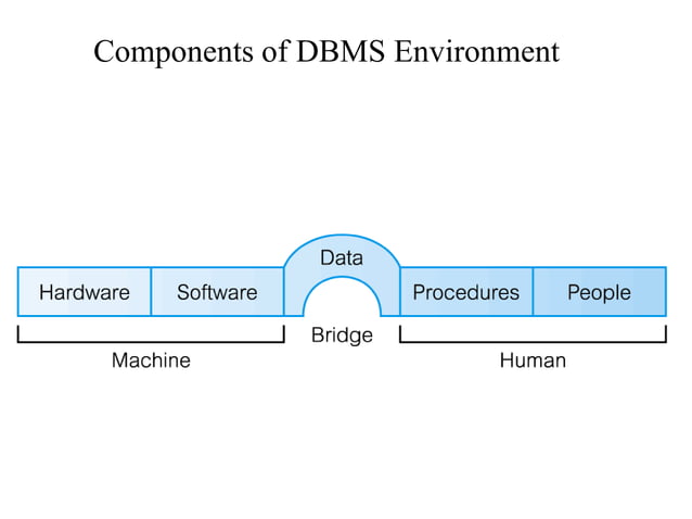 [Lec#4]databases and database management systems.pptx