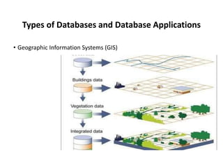 [Lec#4]databases and database management systems.pptx | Databases | Computer Software and ...