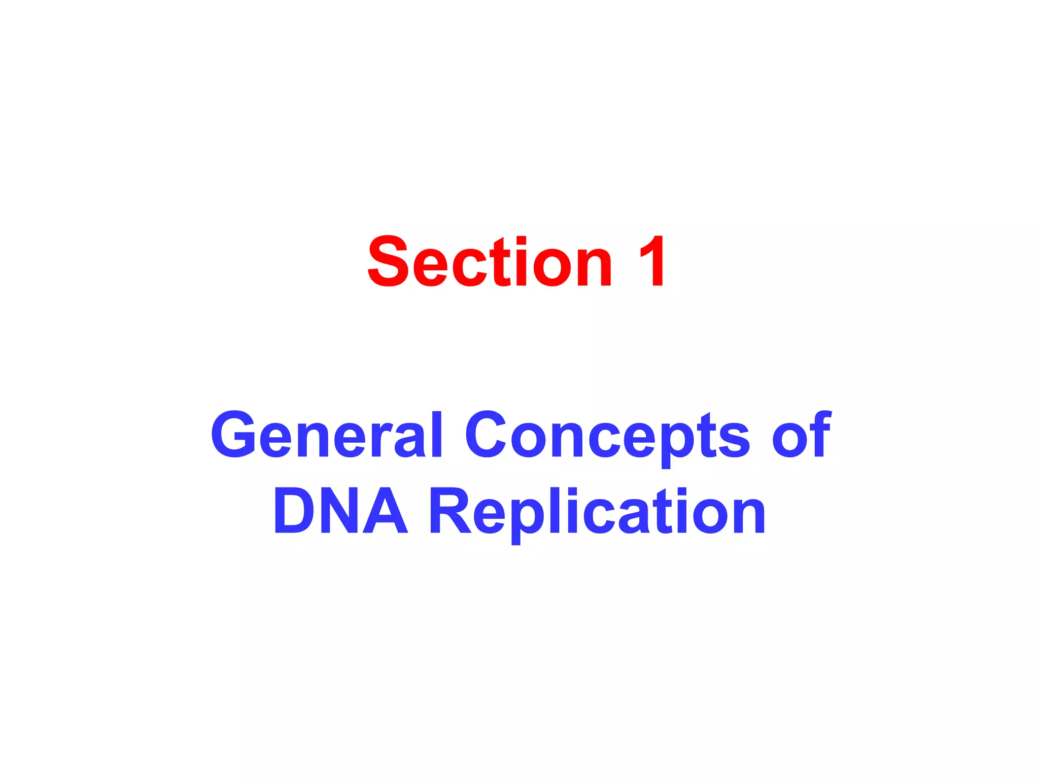 DNA Replication- General Concepts of DNA Replication.ppt