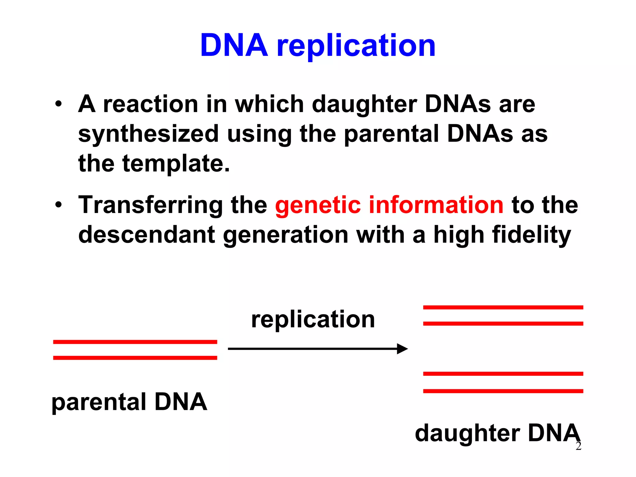 DNA Replication- General Concepts of DNA Replication.ppt