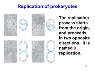 DNA Replication- General Concepts of DNA Replication.ppt