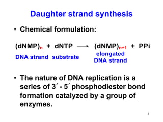 DNA Replication- General Concepts of DNA Replication.ppt