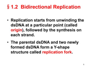 DNA Replication- General Concepts of DNA Replication.ppt