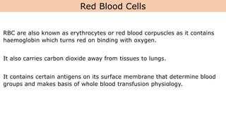 Corpuscles | PPTX