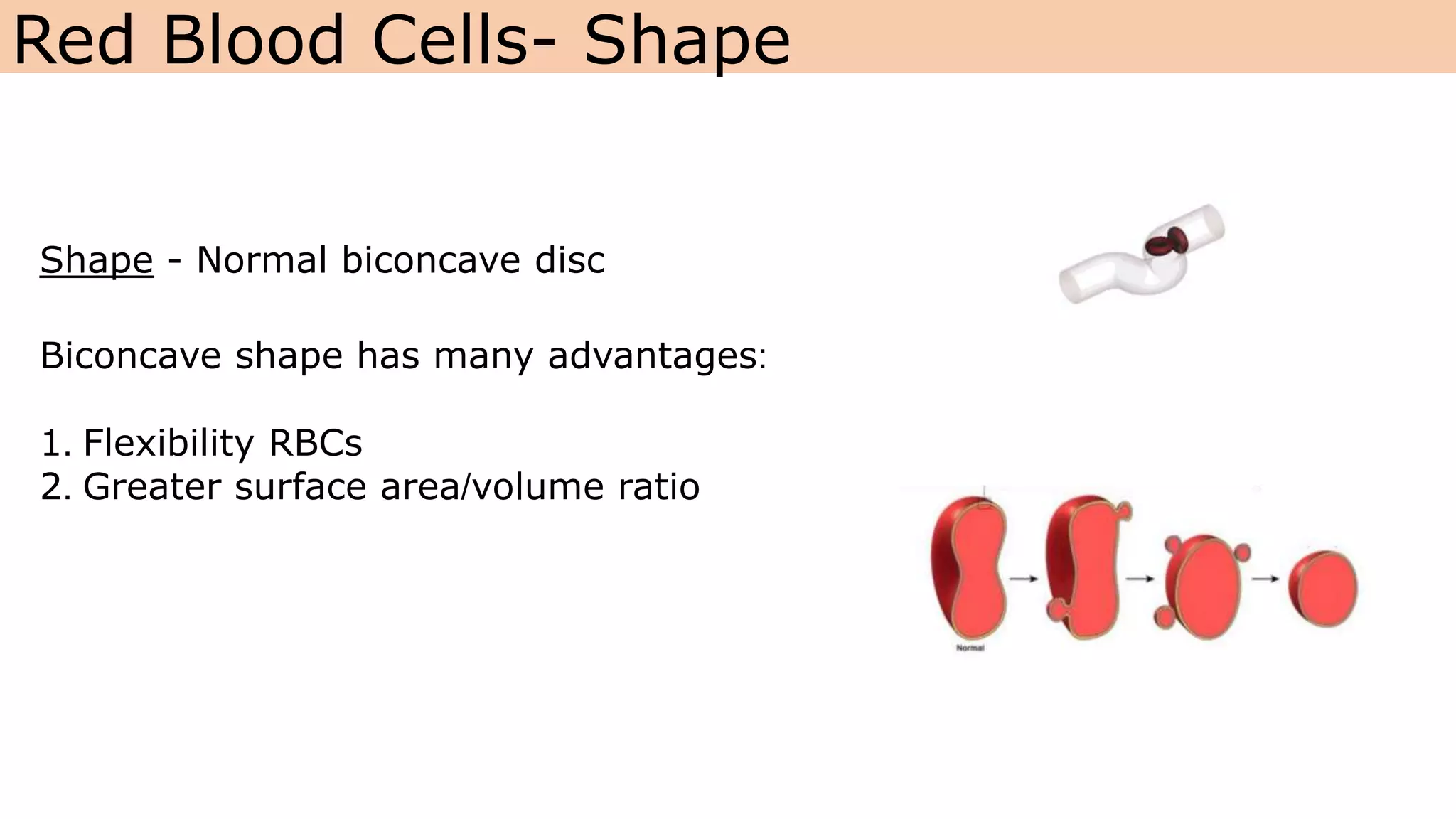 lec_4_hematology_RBCs.pptx