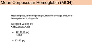 lec_4_hematology_RBCs.pptx