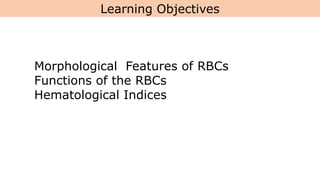 lec_4_hematology_RBCs.pptx