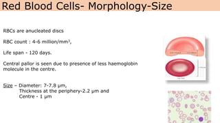 lec_4_hematology_RBCs.pptx