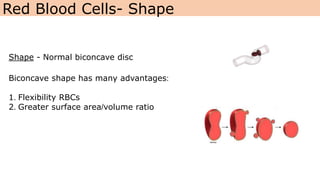 lec_4_hematology_RBCs.pptx