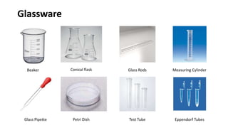 Lec 4 Microbiology (Practic).pptx