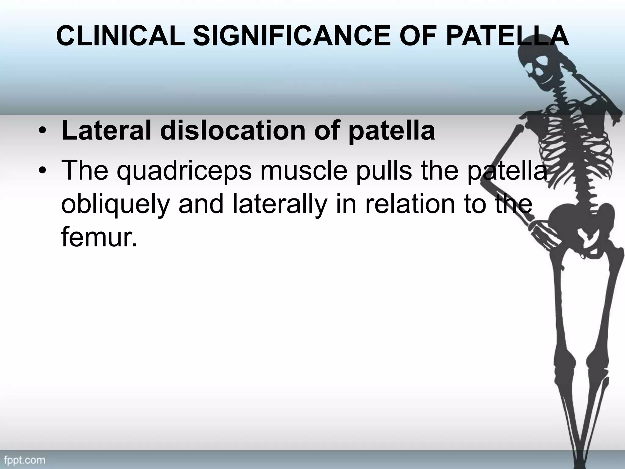 Lec 4 patella | PPT
