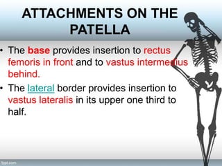 Lec 4 patella | PPT