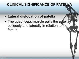 Lec 4 patella | PPT