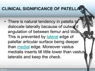 Lec 4 patella | PPT