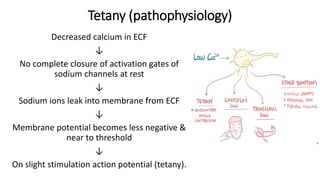 LEC 4,Properties of action potential - Copy.pptx | Chemistry | Science