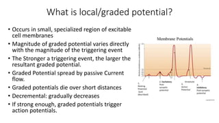 LEC 4,Properties of action potential - Copy.pptx | Chemistry | Science