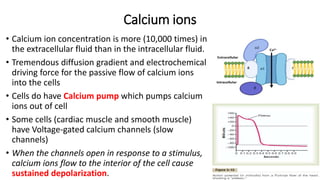 LEC 4,Properties of action potential - Copy.pptx