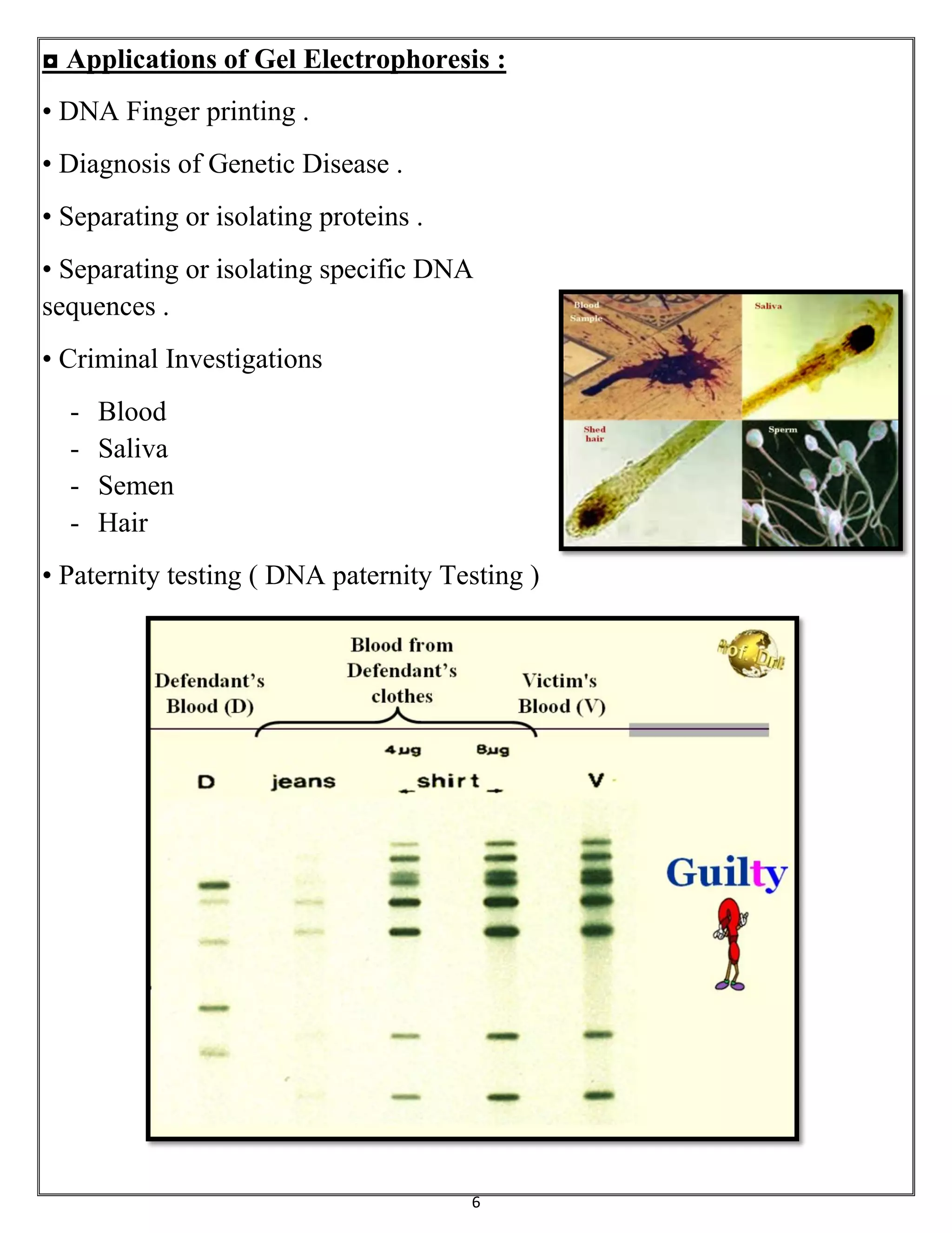 Protein Electrophoresis & Gas Liquid Chromatography & HPLC Applications ...