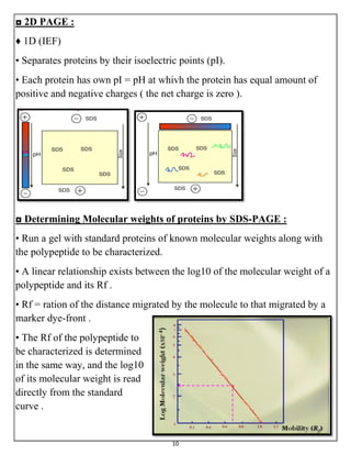 Protein Electrophoresis & Gas Liquid Chromatography & HPLC Applications ...