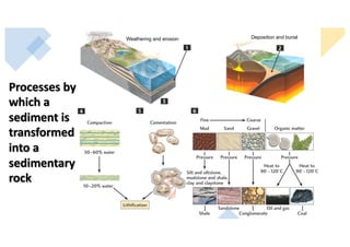 Lecture4_Sedimentary rocks in detail.pdf