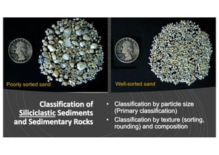 Lecture4_Sedimentary rocks in detail.pdf