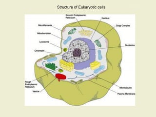 Structure of cell and its components | PPT