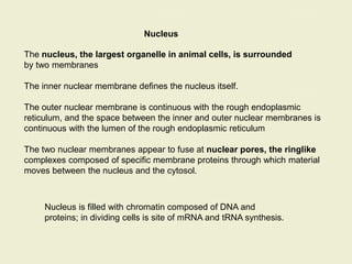 Structure of cell and its components | PPT