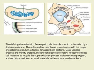 Structure of cell and its components | PPT