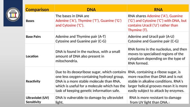 Lec 4 Viral Genetics.ppt shdlkashkdhaskdhhds | PPT