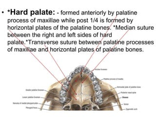 Lecture five of head and neck anatomy.ppt