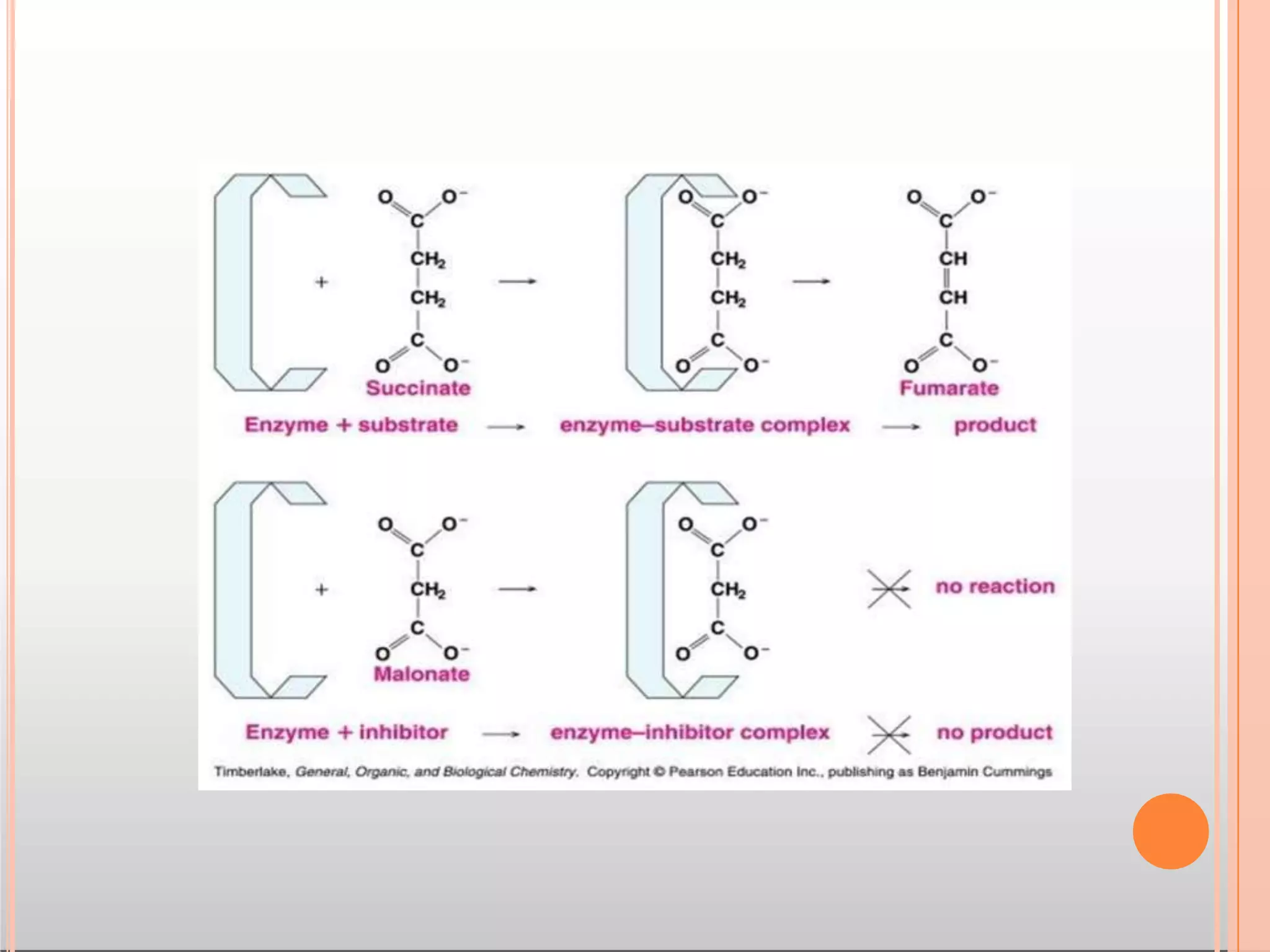 factors Affecting Enzyme activity | PPTX | Endocrine and Metabolic Diseases | Diseases and ...