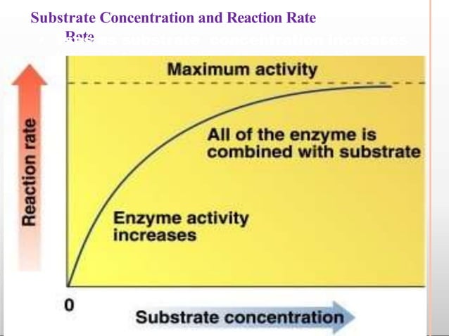 factors Affecting Enzyme activity | PPTX | Endocrine and Metabolic Diseases | Diseases and ...